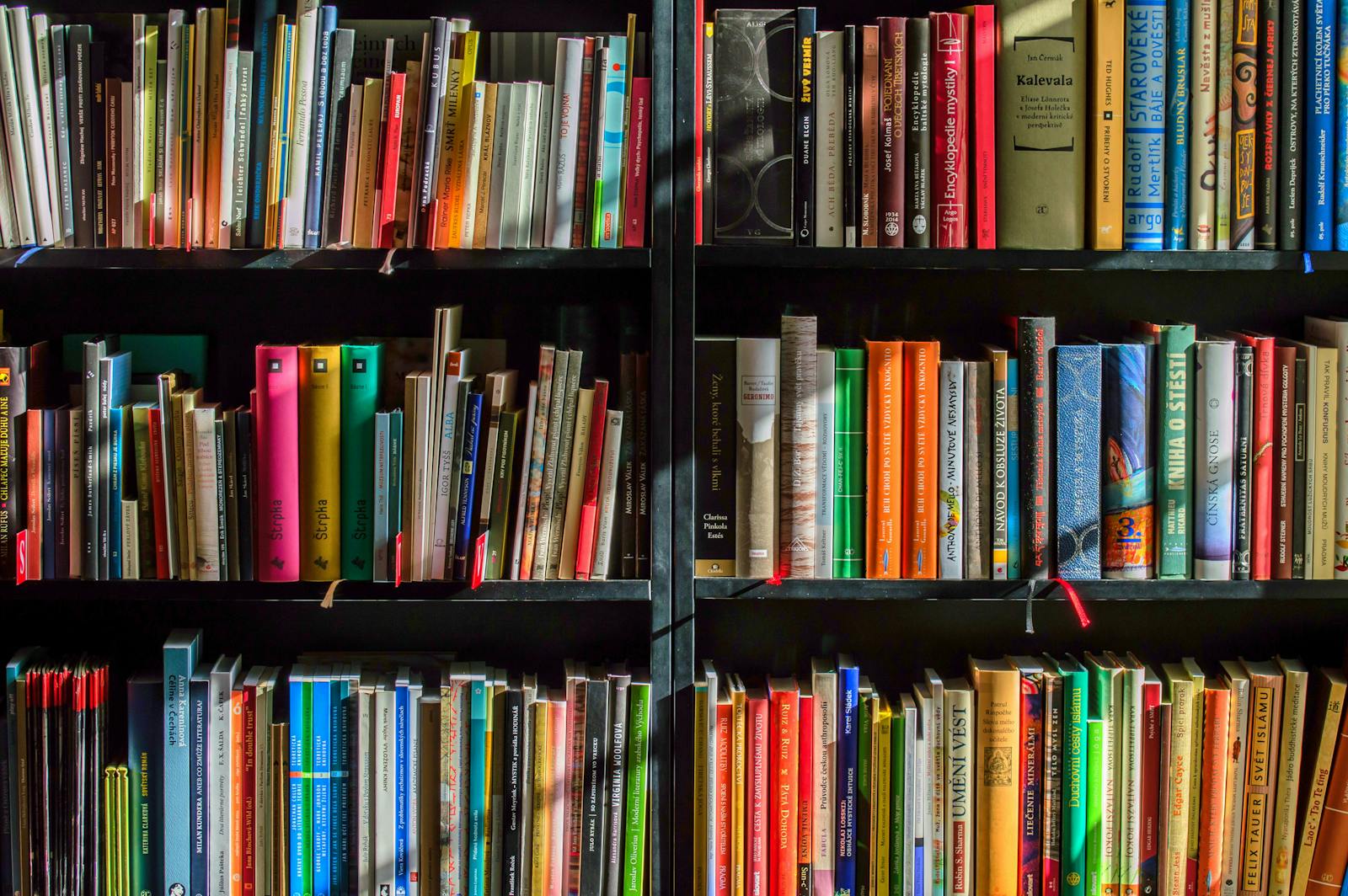About David Irving | Irving Books